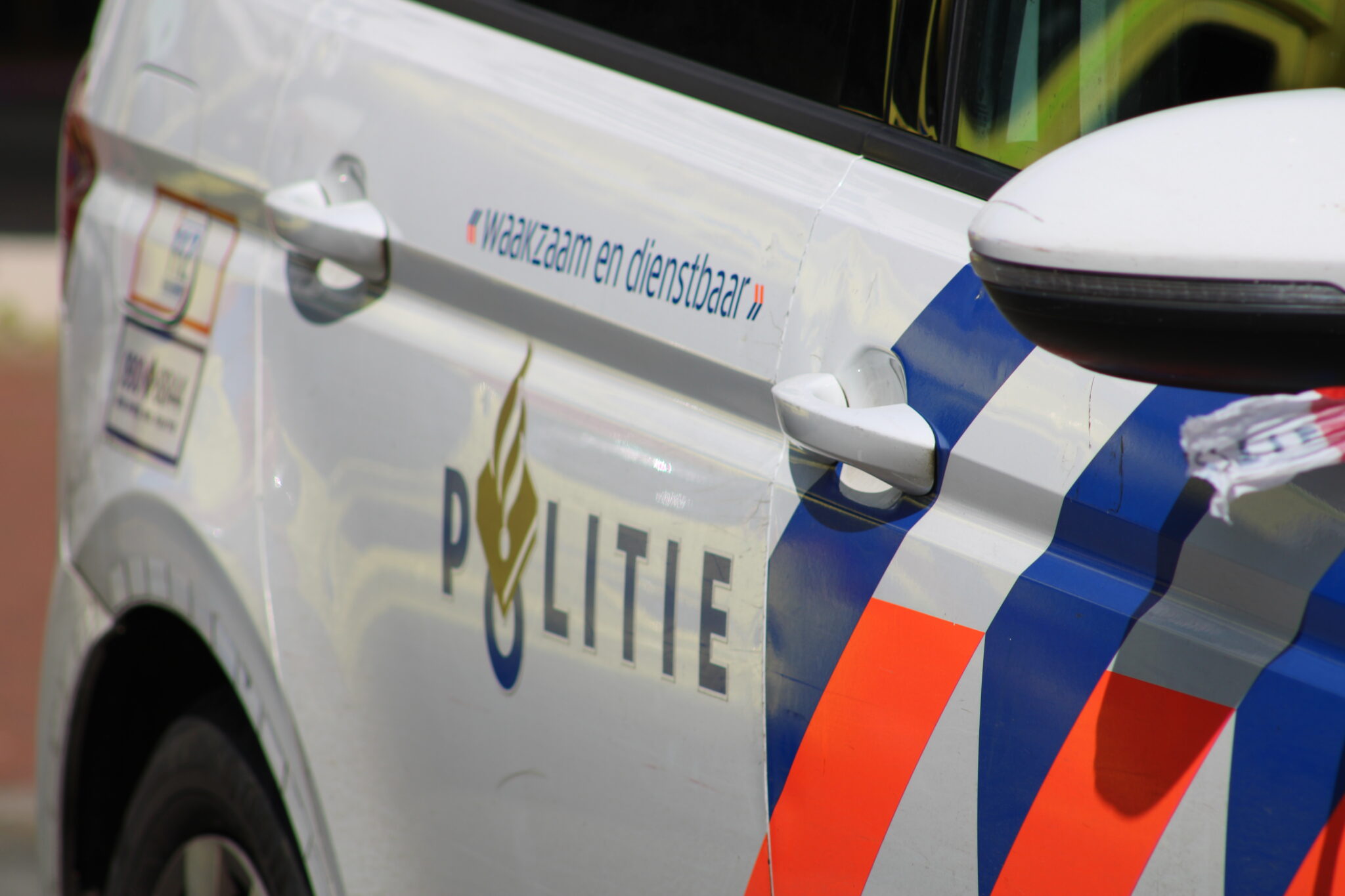 Auto botst met overstekende wolf op de A28, wolf is nu overleden (Video ...